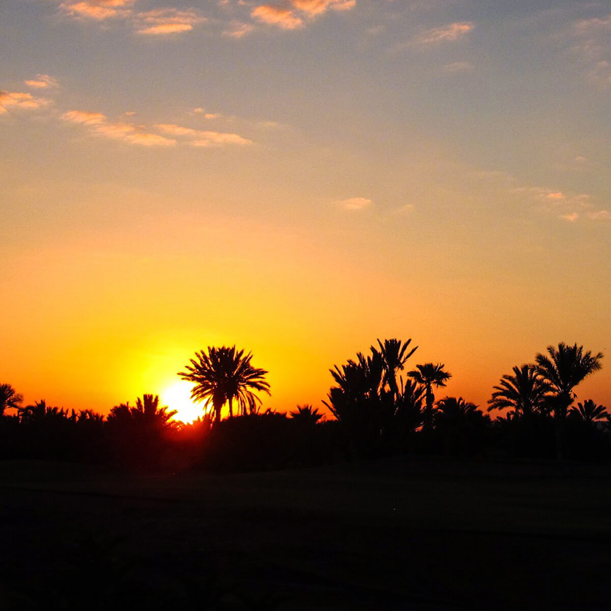 Marrakesh Things to Do, Travel Guide and Visitor Information